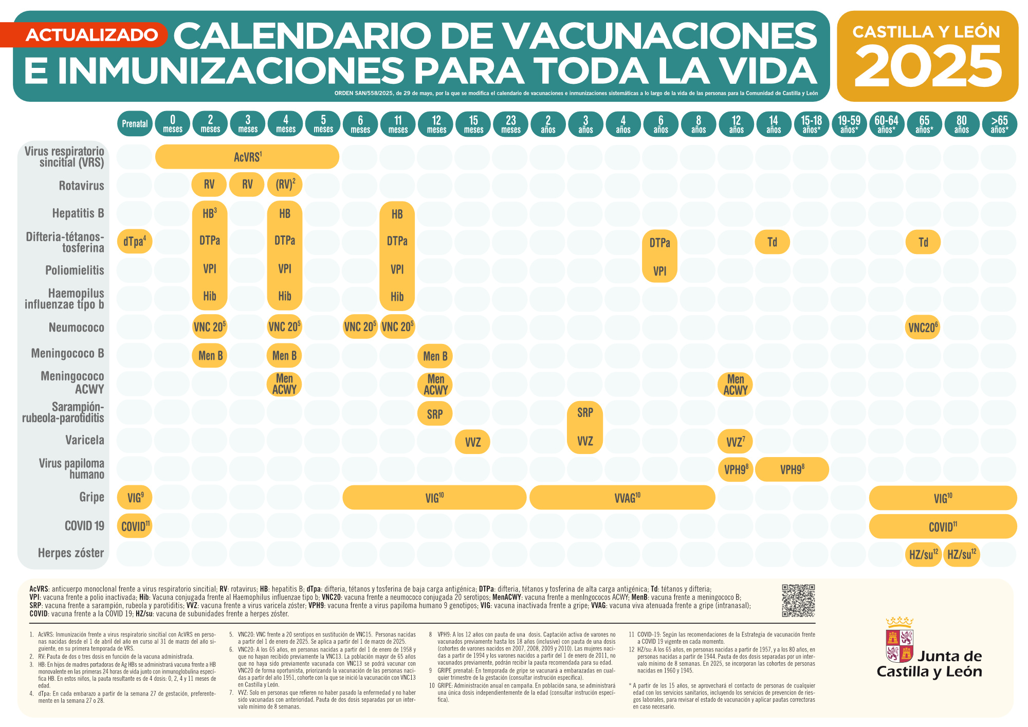Publicado en el BOCYL actualización Calendario de vacunaciones e inmunizaciones para toda la ...